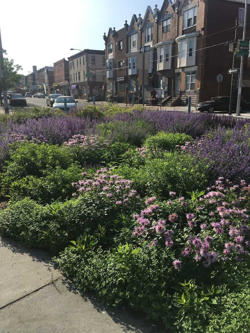 A Cultural Exegesis of a South Philadelphia Neighborhood - Journal of ...